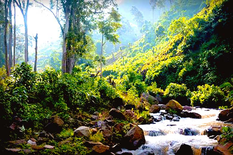 ECO ETHIOPIA Tour Operation And Travel Agency ECO ETHIOPIA Tour Operation And Travel Agency