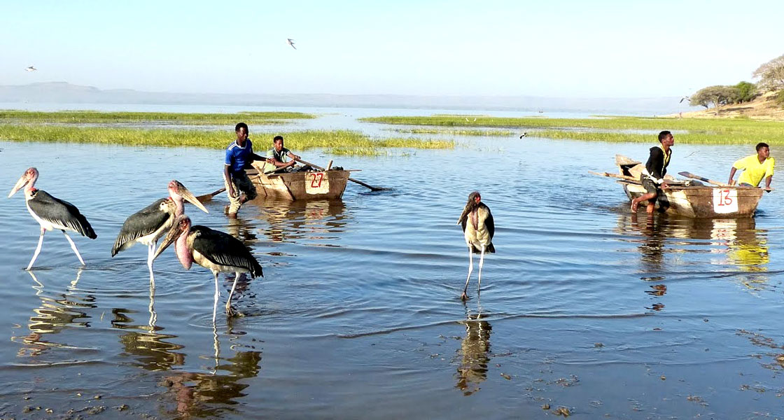 Awasa Awasa Relax - landscape ECO ETHIOPIA Lakew Awasa